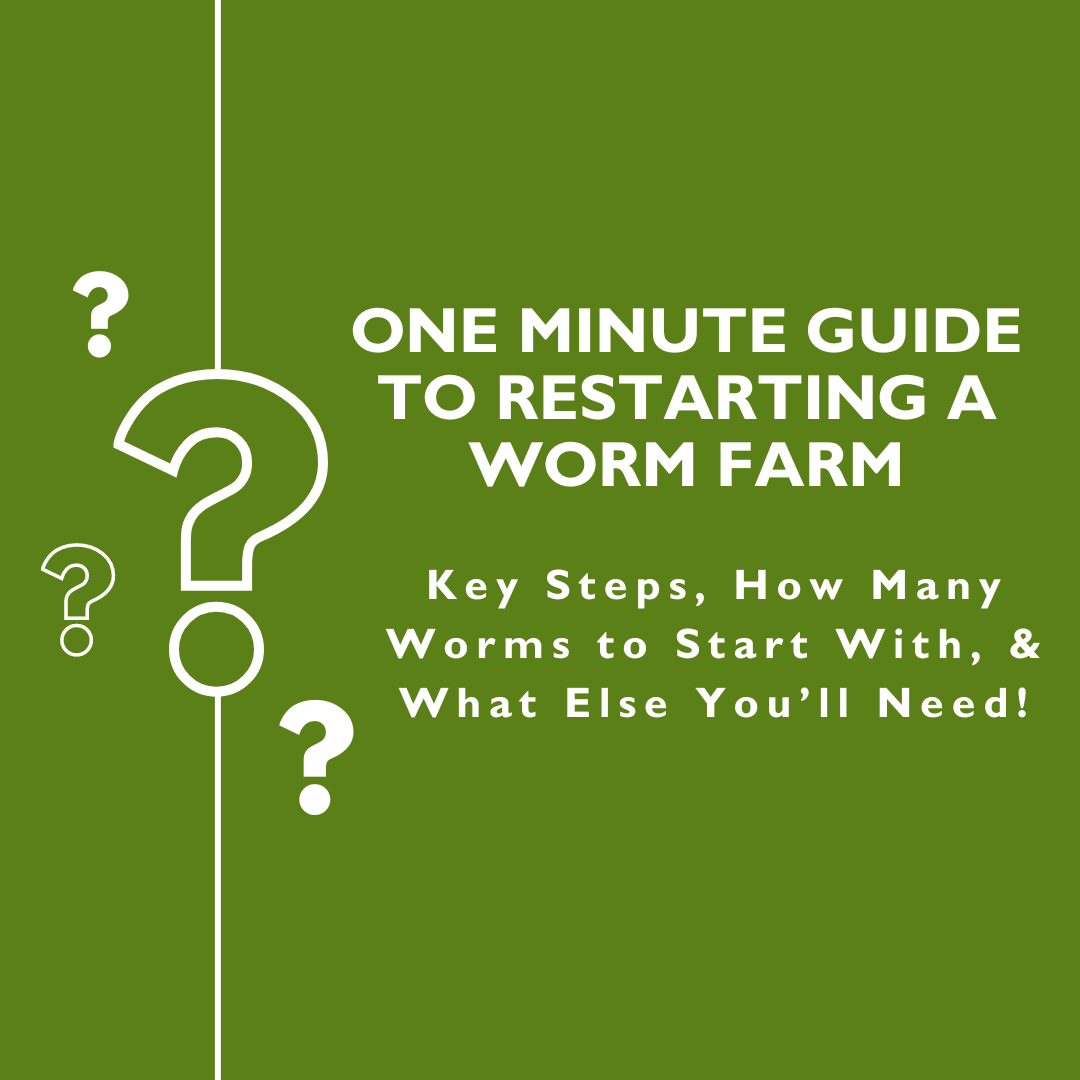 Restart Your Worm Farm - 1 Minute Guide to Worm Composting Success ...
