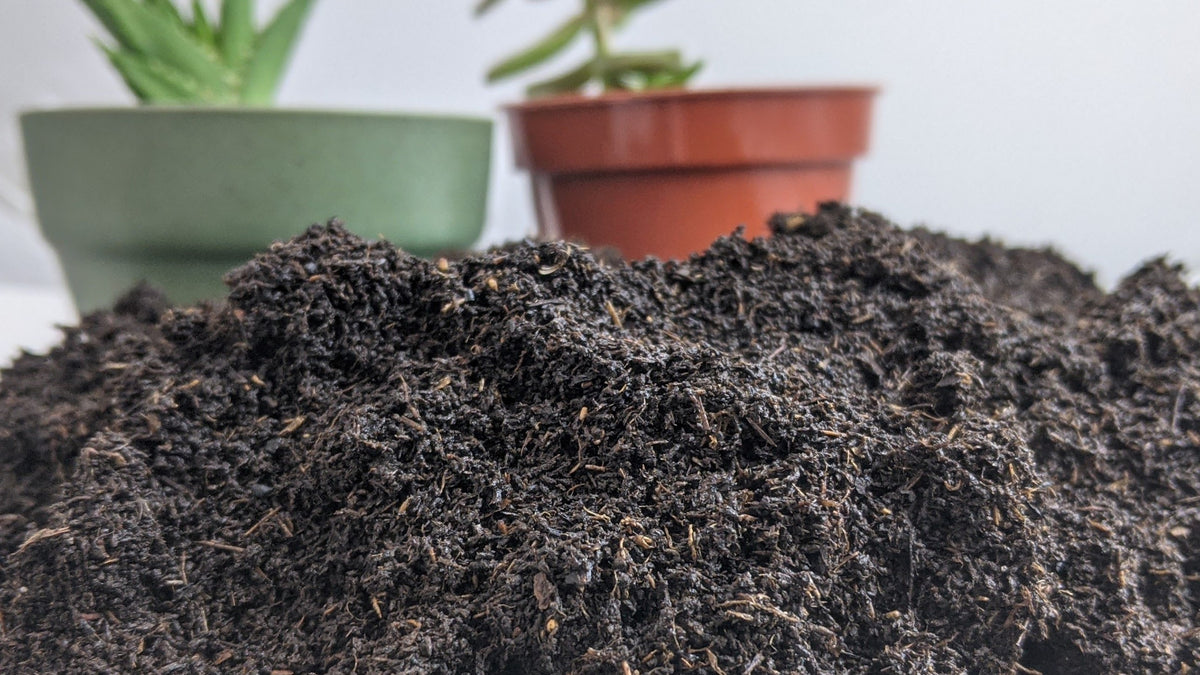 Worm Castings for Sale - Nutrient-rich Castings for Plants & Gardens ...